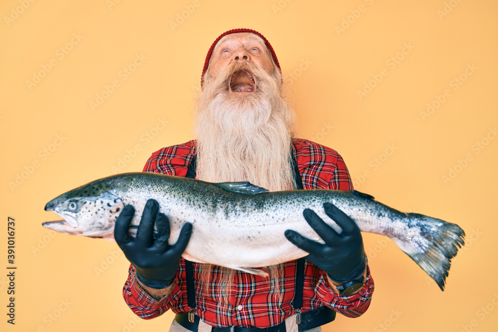 Old senior man with grey hair and long beard showing raw salmon angry ...
