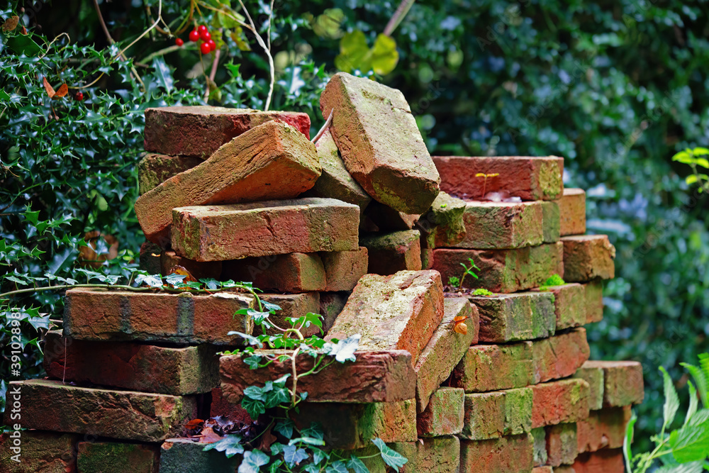 Stack of bricks that have fallen over. Pile with trailing ivy, bricks ...
