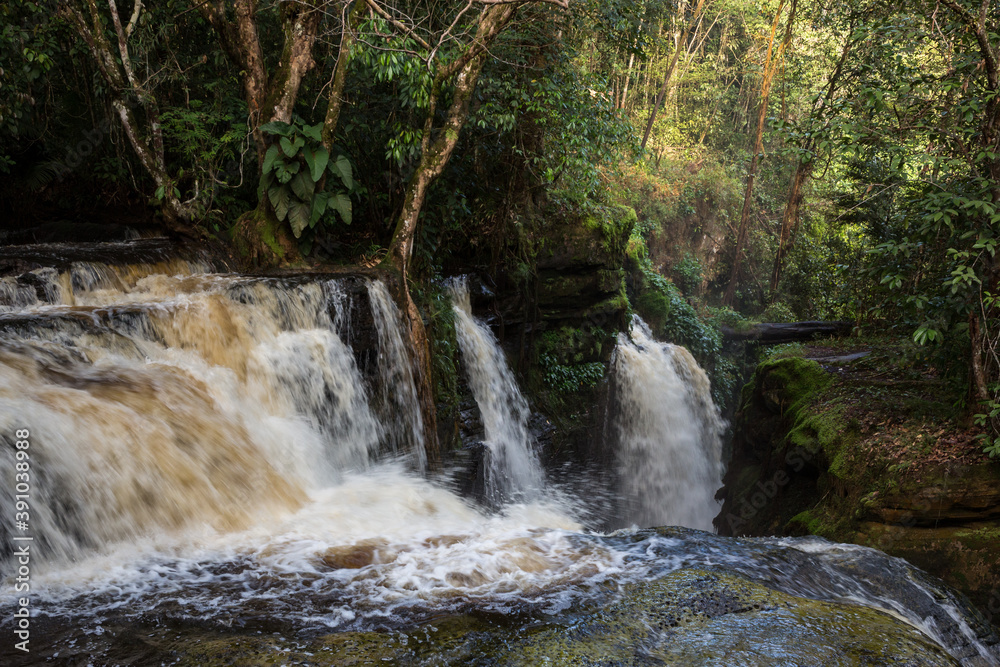 Waterfalls falling into a flowing river surrounded trees & vegetation ...