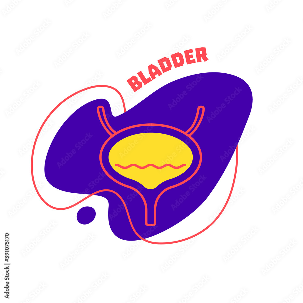 Bladder urinary system body organ outline icon on abstract geometric ...
