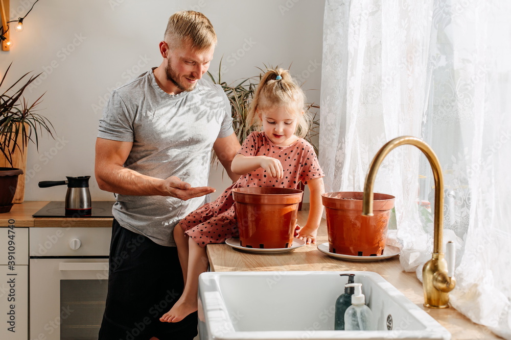 A happy little girl and a man sow seeds of domestic plants. Father and ...
