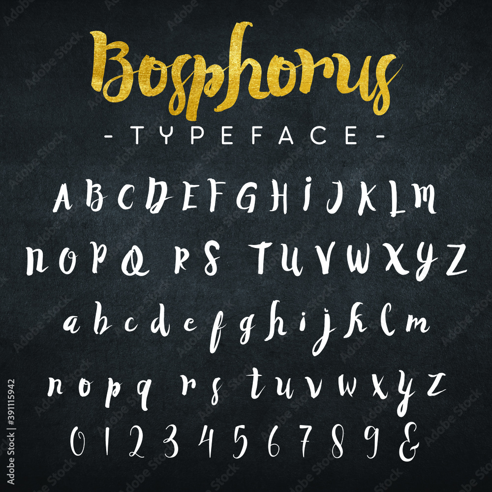 Bosphorus Brush Script Cursive Alphabet Font Stock Vector | Adobe Stock