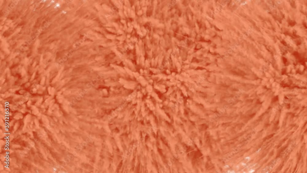 explosions of colored powder or smoke. ProRes transparent background in ...
