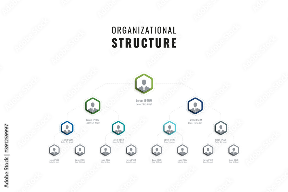 Vertical organizational structure of the company template. Multicolor ...