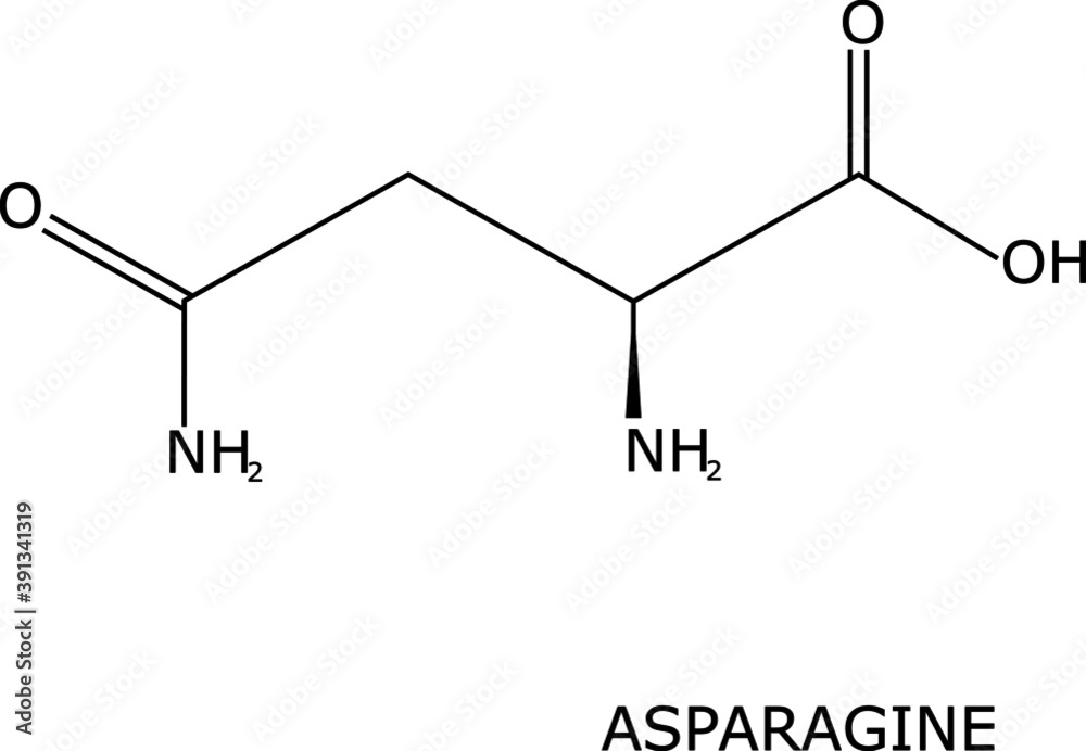 Asparagine molecular structure, isolated on white background with its ...