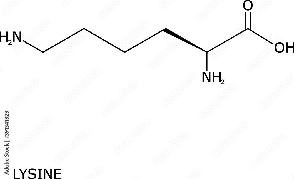 Lysine molecular structure, isolated on white background with its name ...