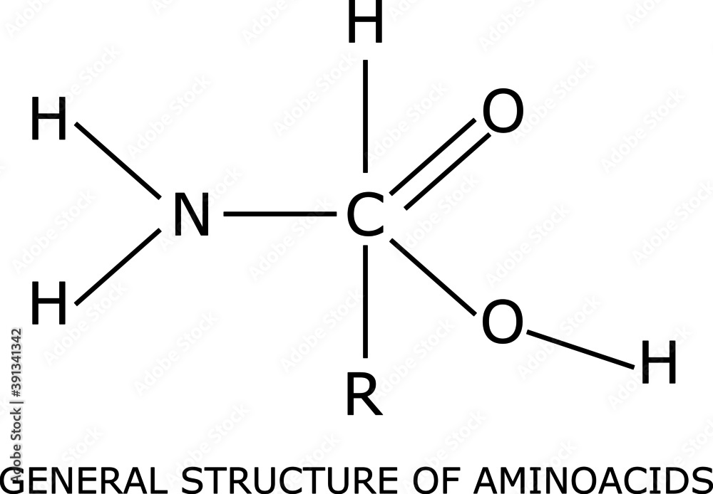 General structure of an amino acid molecular structure, isolated on ...
