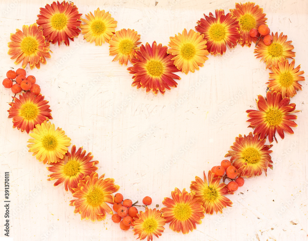 autumn frame with flowers of chrysanthemums of yellow-red color in the ...