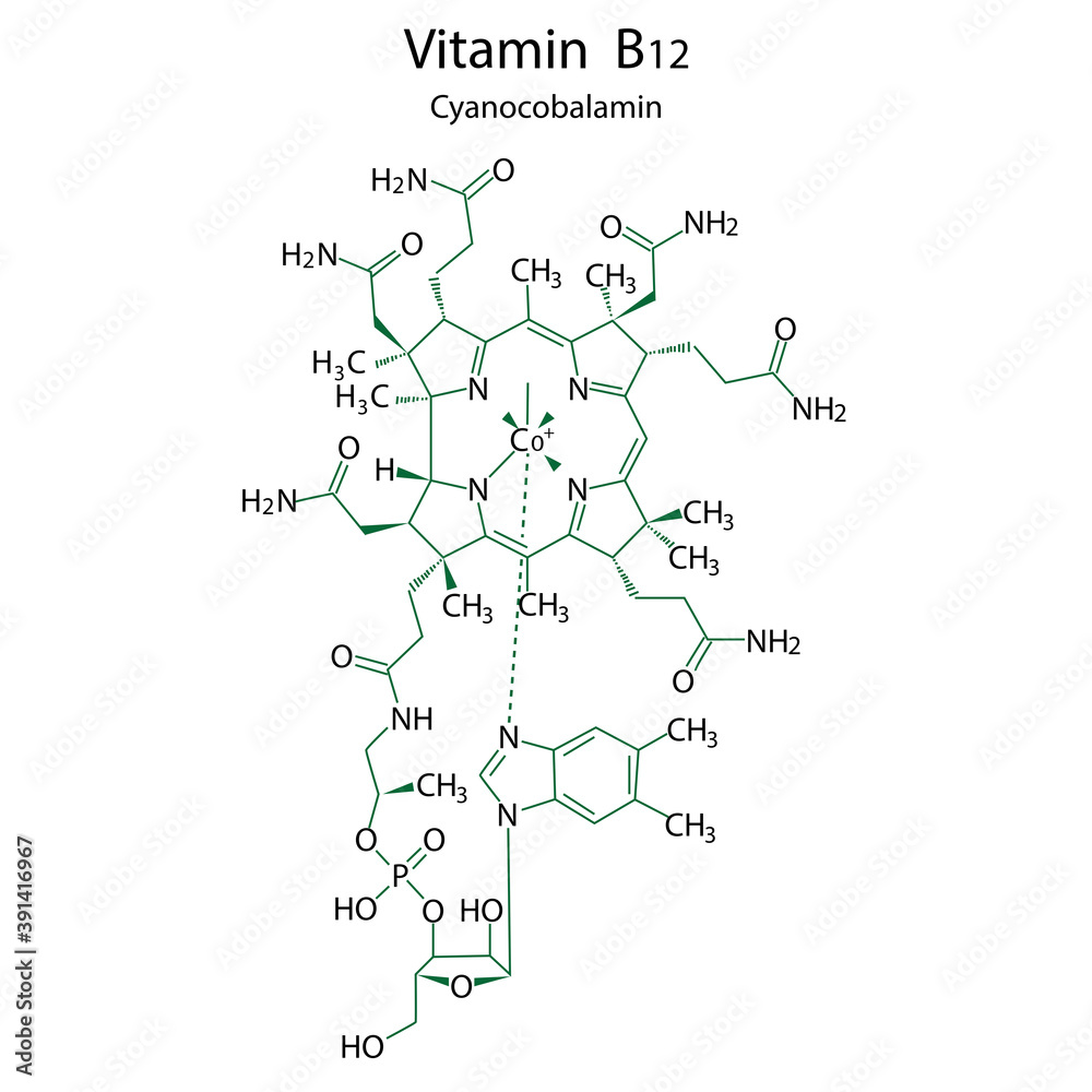 Flat vitamin b12 formula for medical design. Illustration for medical ...