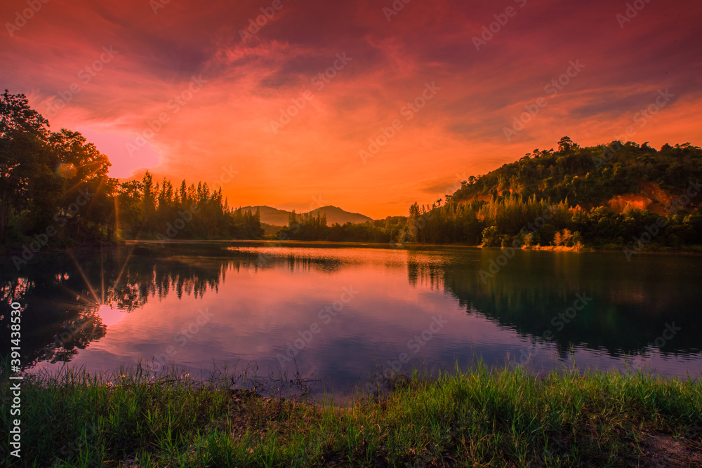 Blurred nature background view of naturally occurring trees and ...