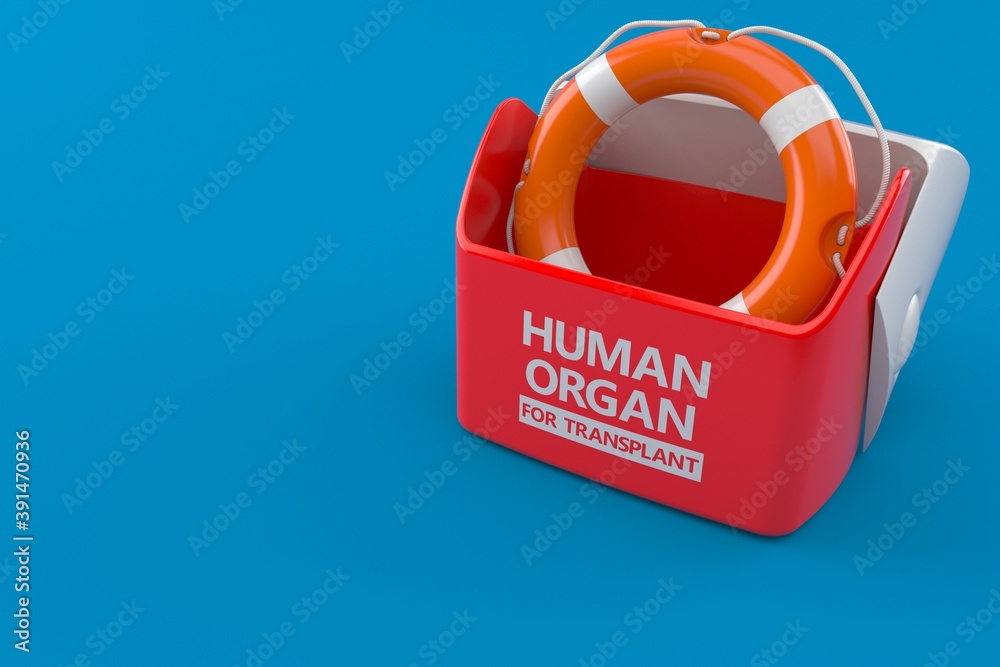 Poster Human organ for transplant concept – Wall Art | UkPosters