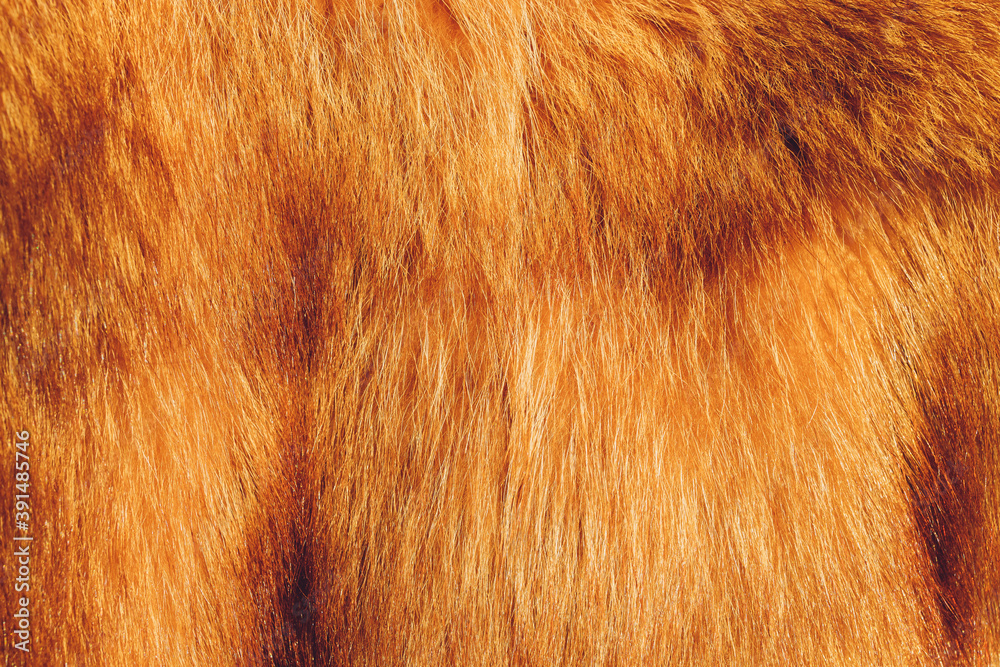 Textures red fox fur. Red fox shaggy fur texture cloth abstract, furry ...