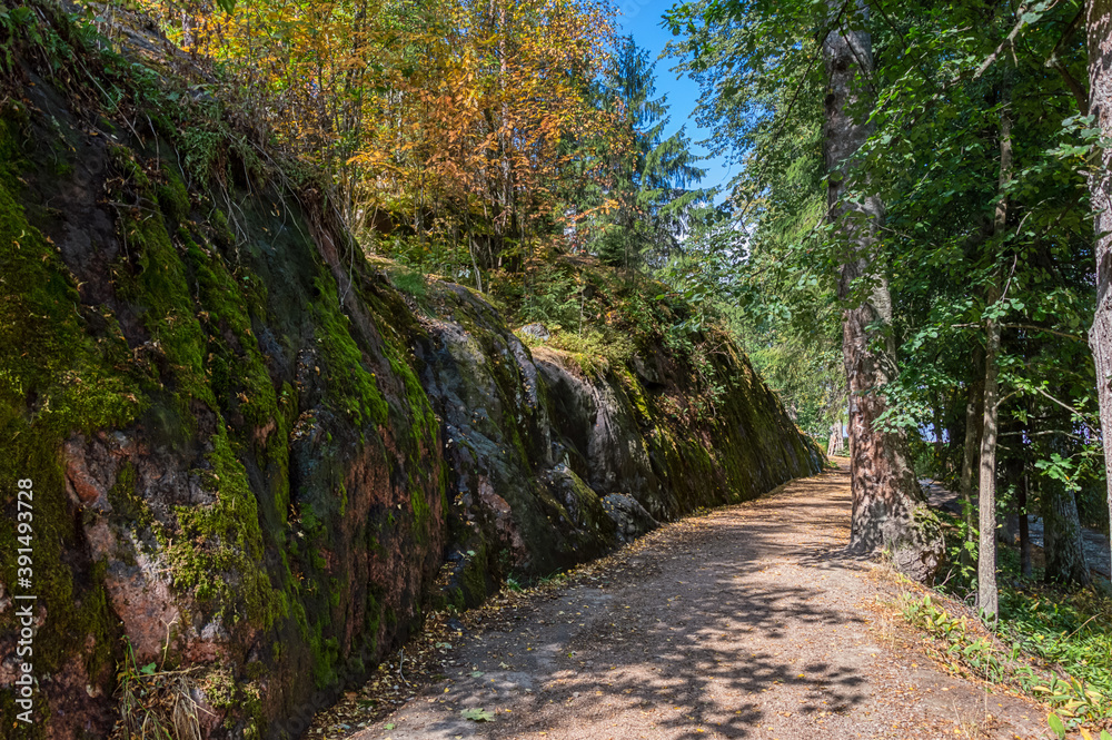 Hiking trails and wooden bridges in Monrepos Park on a warm summer day ...