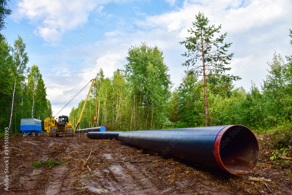 Natural gas pipeline construction work in forest area. Installation of ...