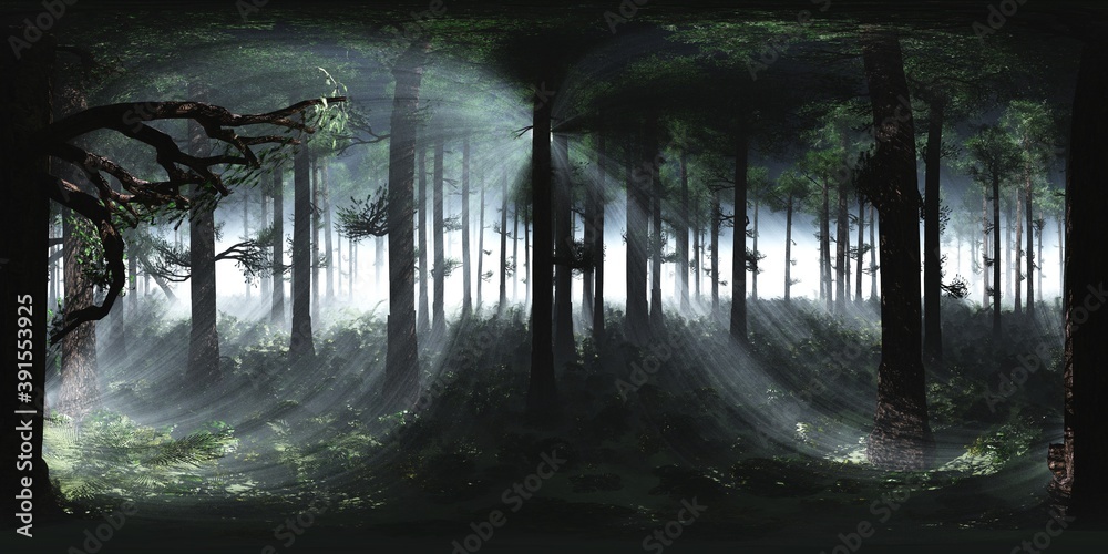 Trees in the fog. Environment map. HDRI map. equidistant projection ...