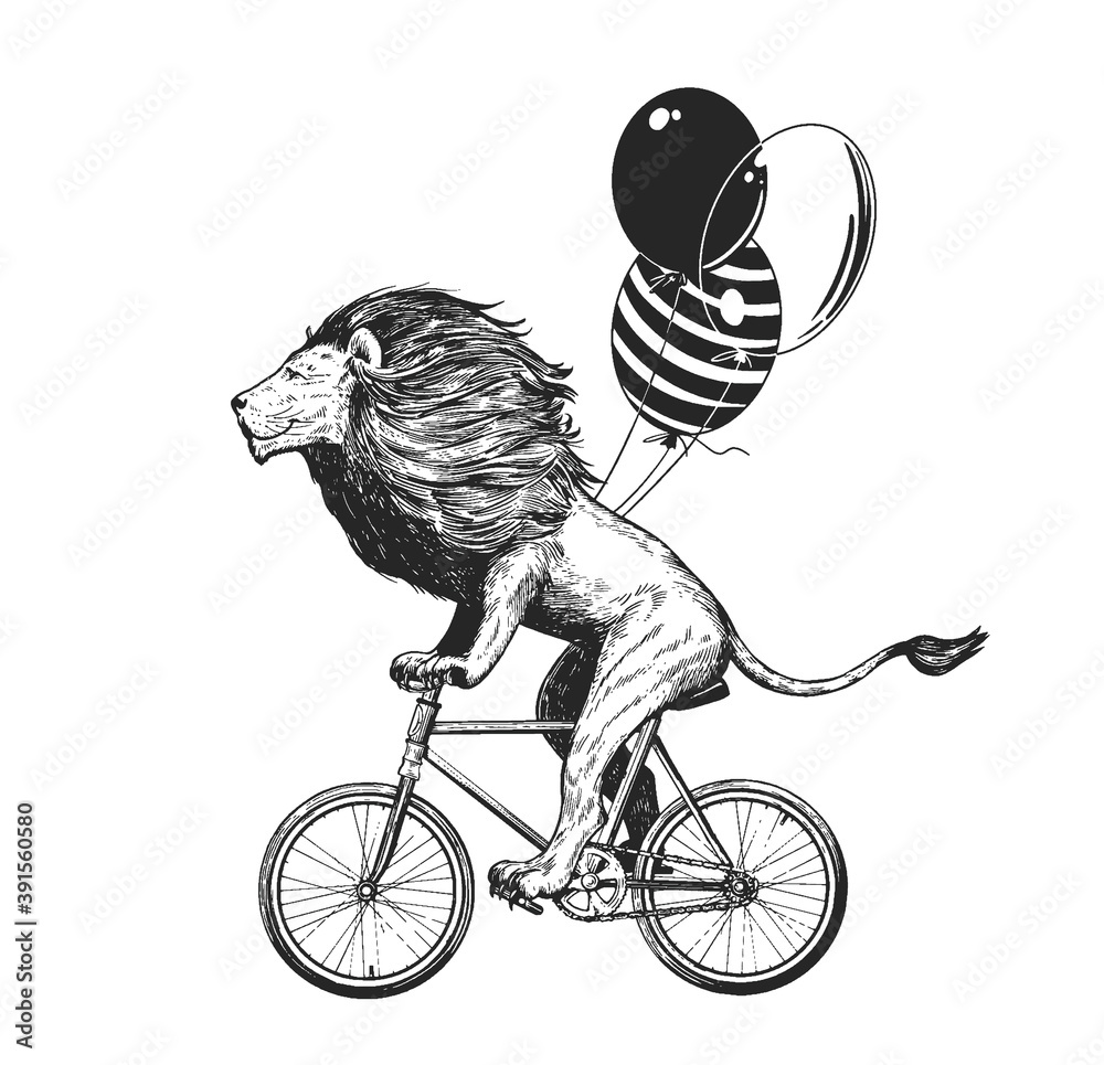 Lion Rides Bicycle with Balloons Vector Illustration. Vintage Mascot ...
