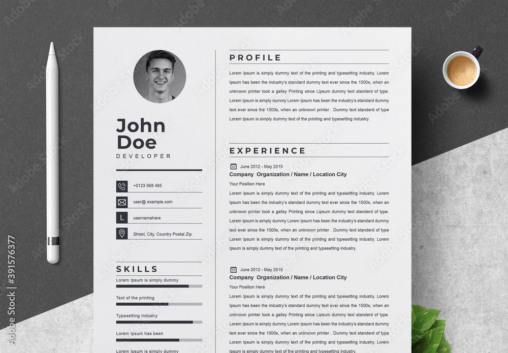 Clean and Professional Resume Layout Stock Template | Adobe Stock