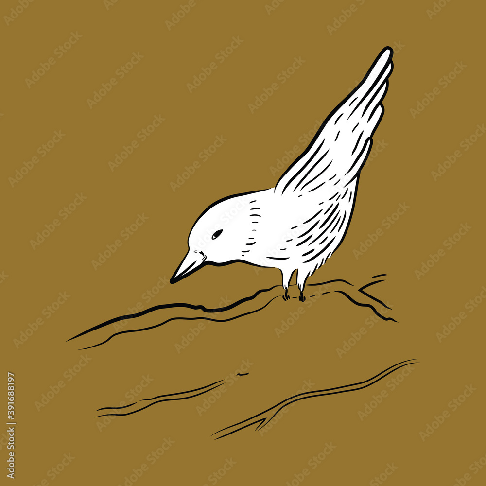 Line drawing of sparrow/bird in vector. Minimal modern chinoiserie ...