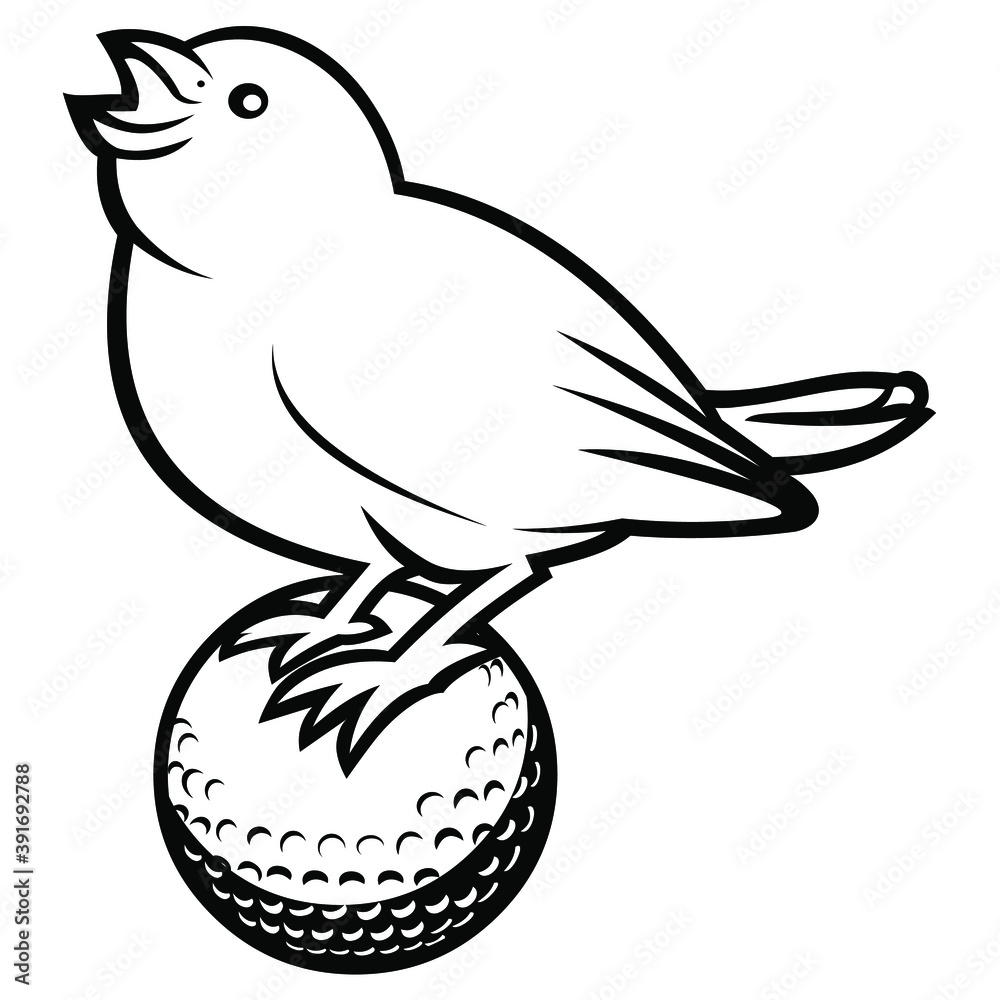 chirping bird vector on golf ball background Stock Vector | Adobe Stock