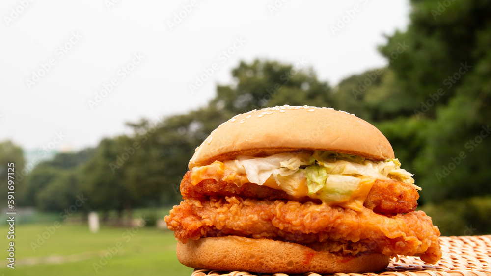 Close up image of huge chicken burger with nature background Stock ...
