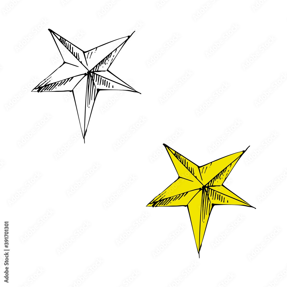 Star on the tree vector illustration in color and outline sketch style ...