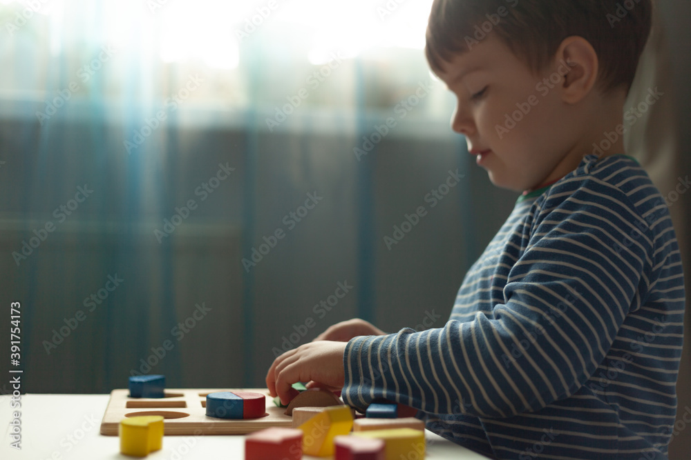 Educational toys, Cognitive skills, Montessori activity. Montessori kid ...