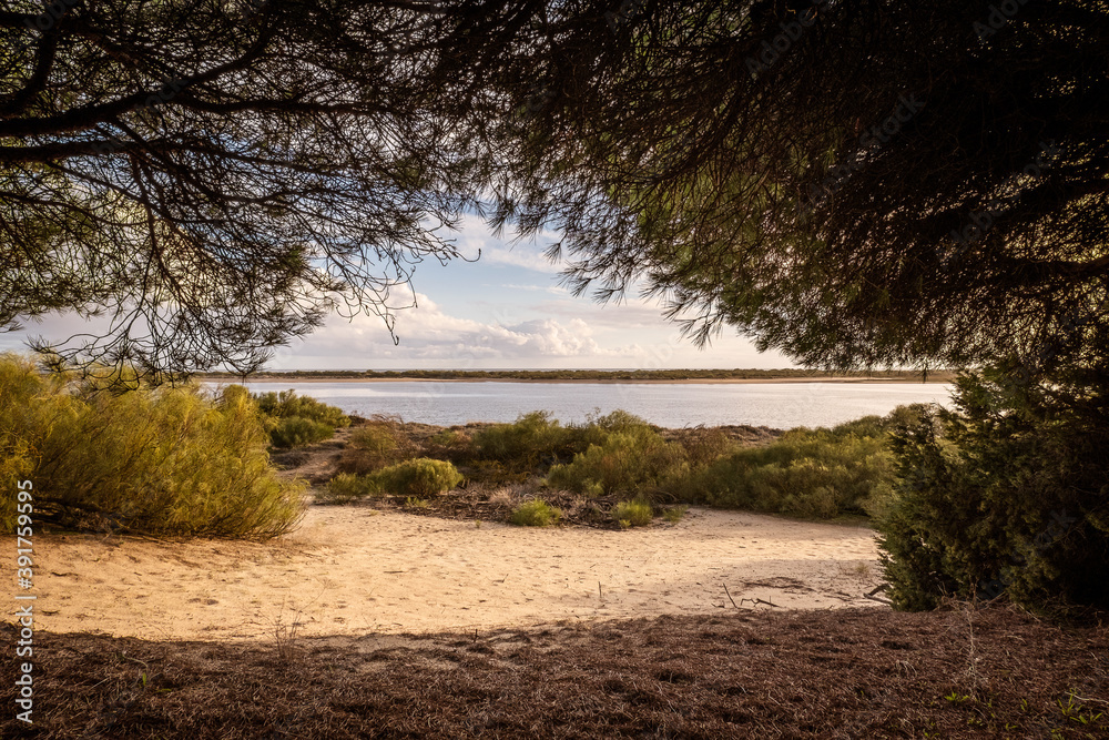 mouth of the Piedras river, with the view of the Flecha de El Rompido ...