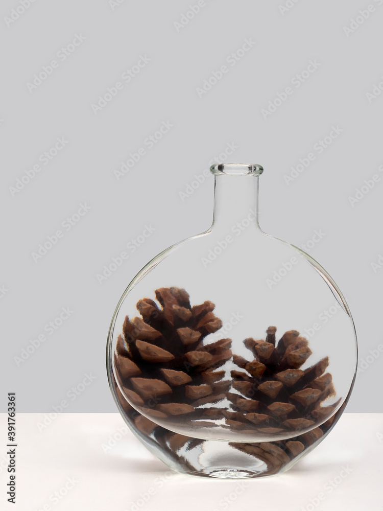 Pine cones distorted through a bottle of water - refraction example ...