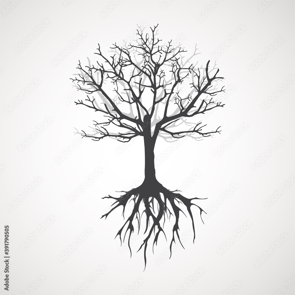 Abstract tree with roots. Vector outline illustration. Plant in Garden ...