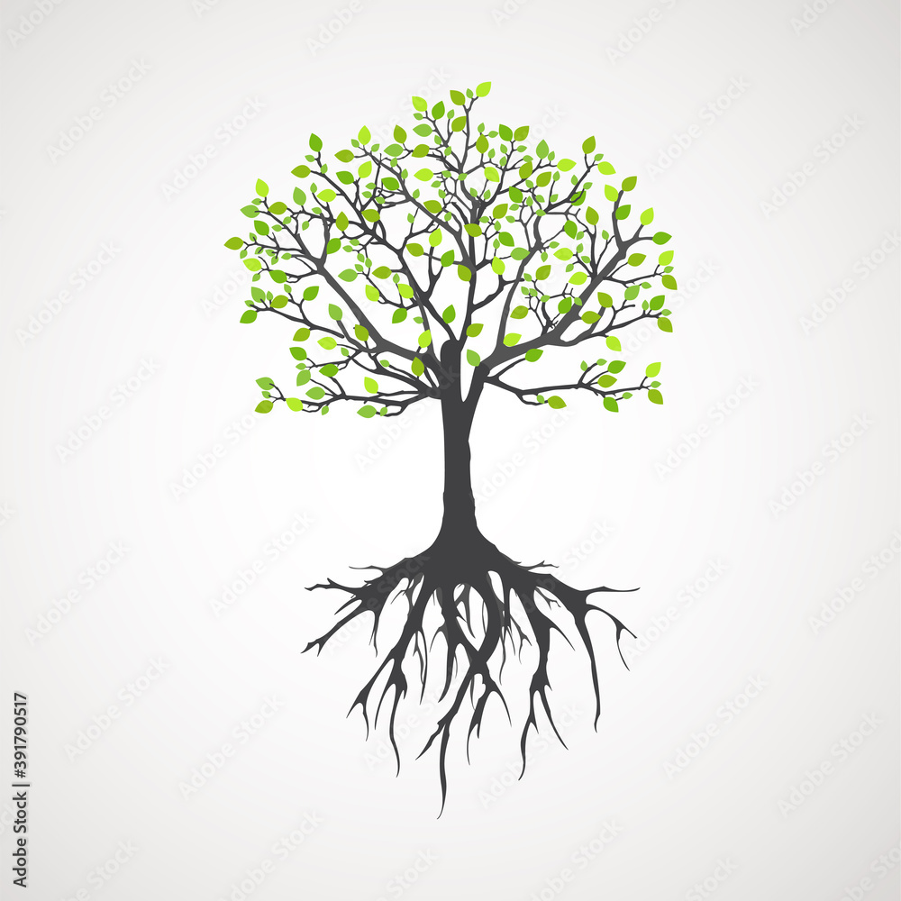 Abstract tree with roots. Vector outline illustration. Plant in Garden ...