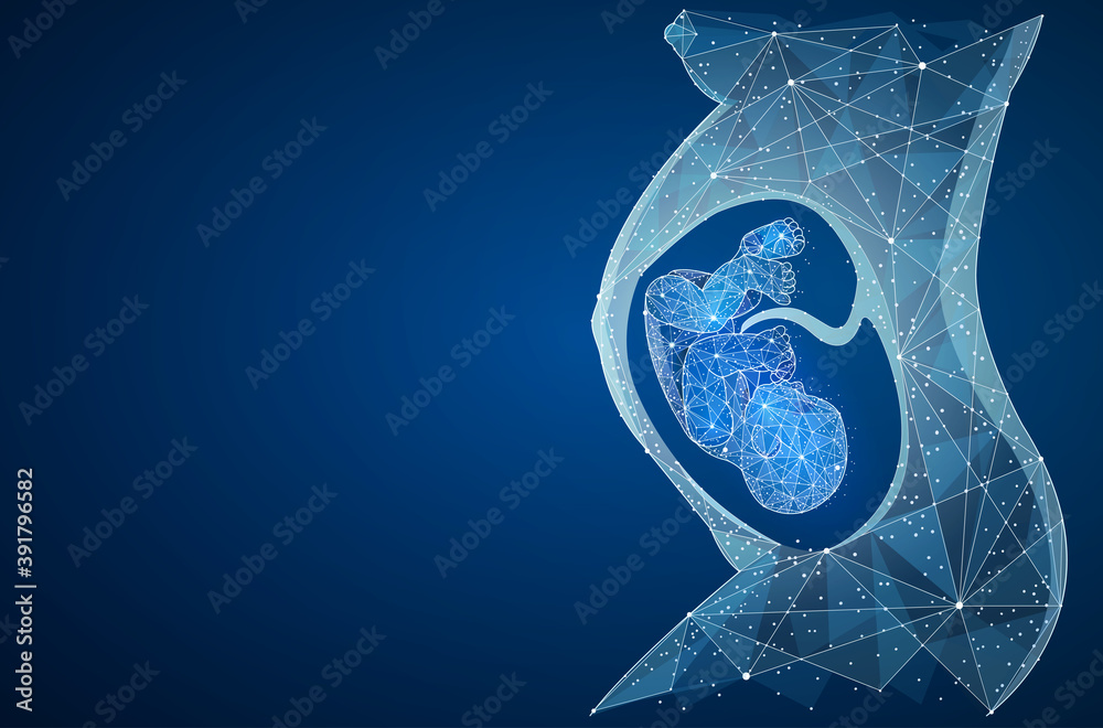 Pregnancy low poly wireframe illustration. Stock Vector | Adobe Stock