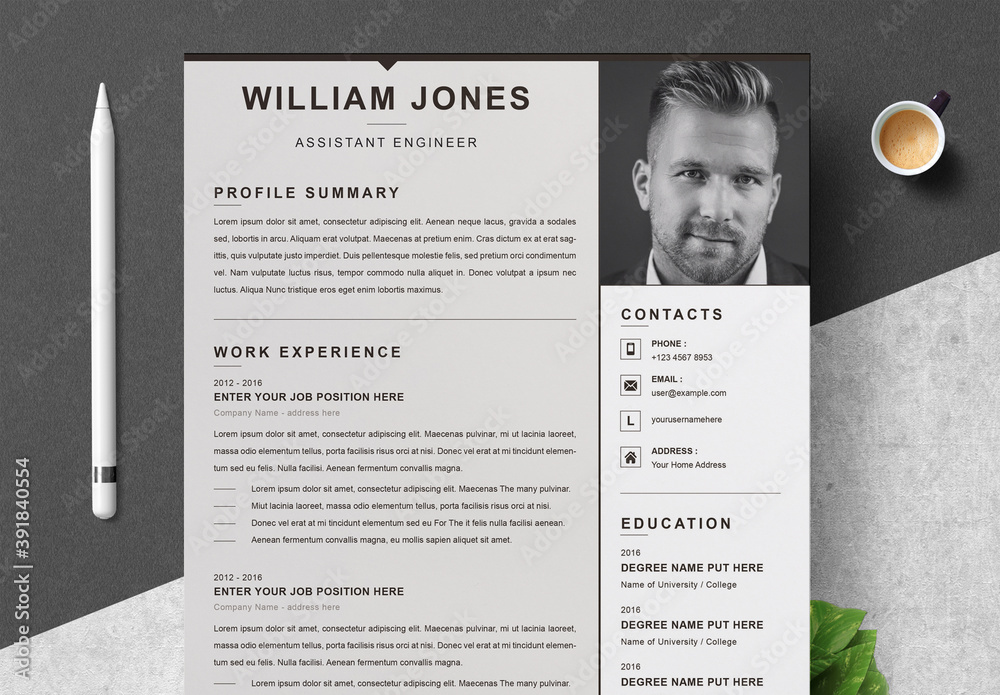 Professional Resume Layout Stock Template | Adobe Stock