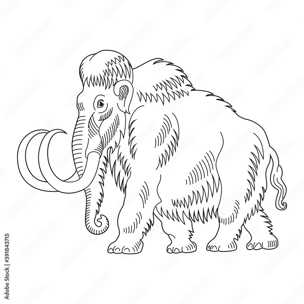 Mammoth vector illustration for your design. Hand drawing, isolated on ...
