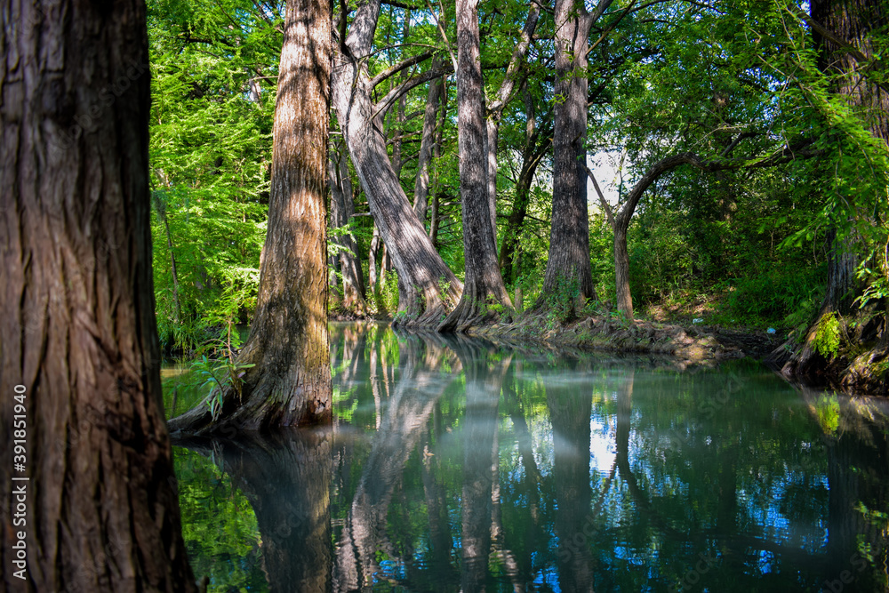 Paisaje natural con río rodeado de árboles Stock Photo | Adobe Stock