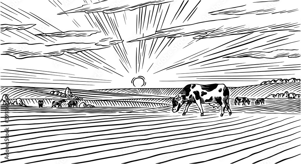 Rural meadow. A village landscape with cows, hills and a farm. Sunny ...