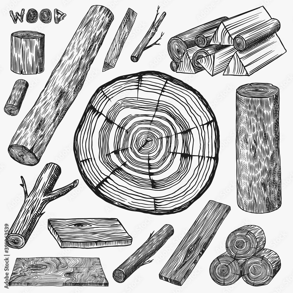Wood set. Planks and logs, lumber and Cuts, Firewood in vintage style ...