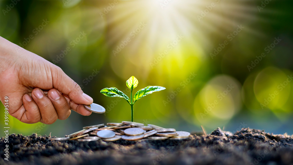 Planting trees on pile of money in the ground and blurred green nature ...