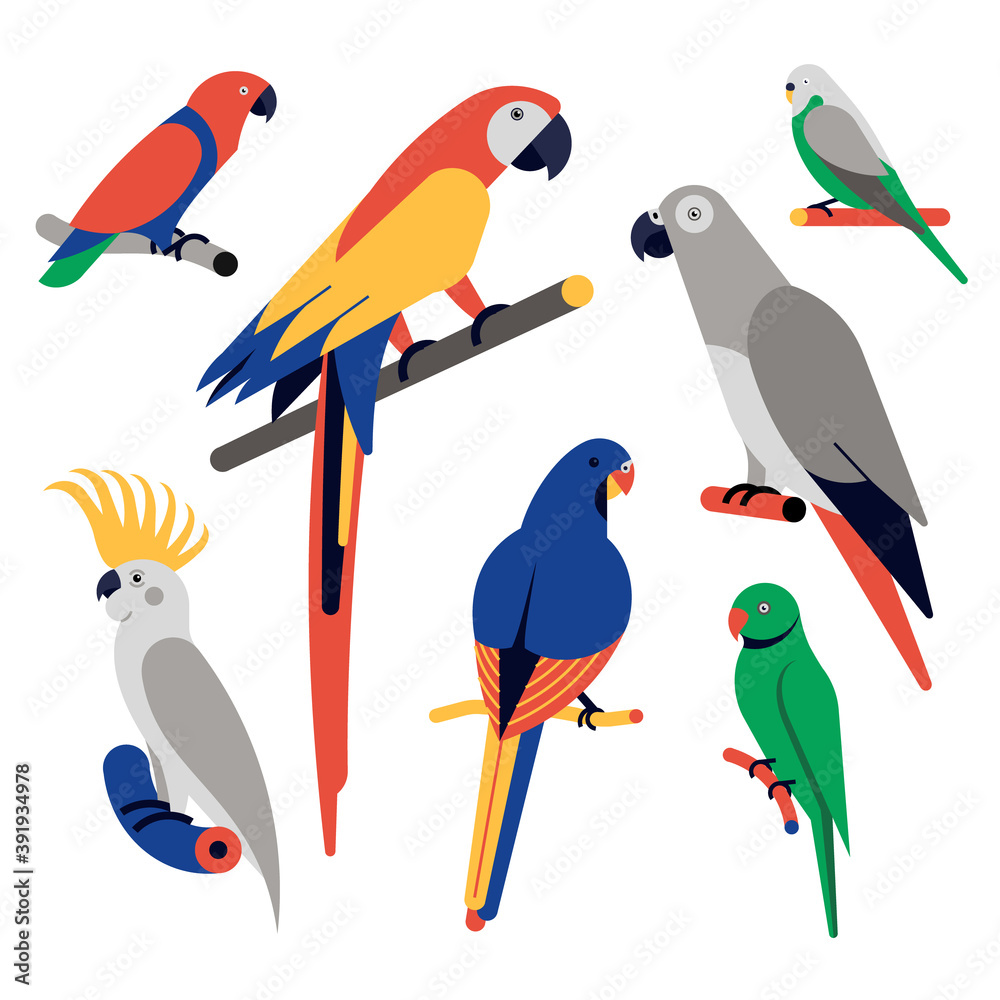 Vector illustration icon set of parrots. Eclectus parrot, scarlet macaw ...