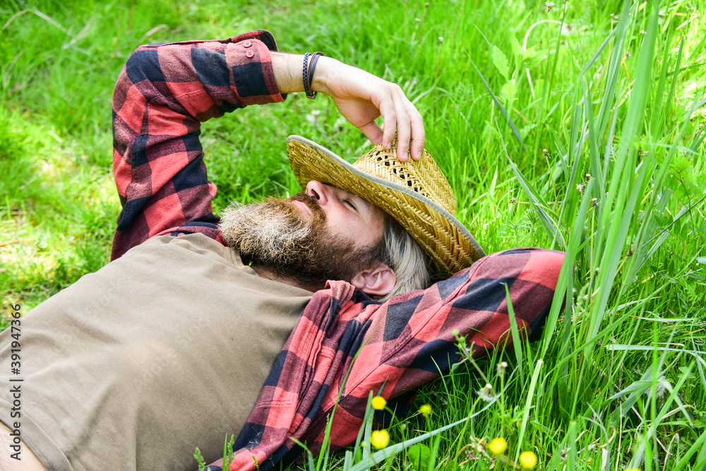 Nature is my home. Rest in countryside. Farmer bearded man rest after ...