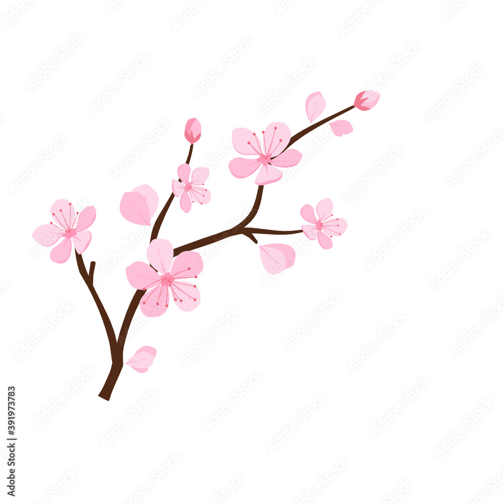 Pink cherry blossoms branch icon on white background vector ...