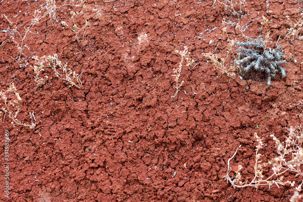Tropical laterite soil or red earth texture. Red sand background ...