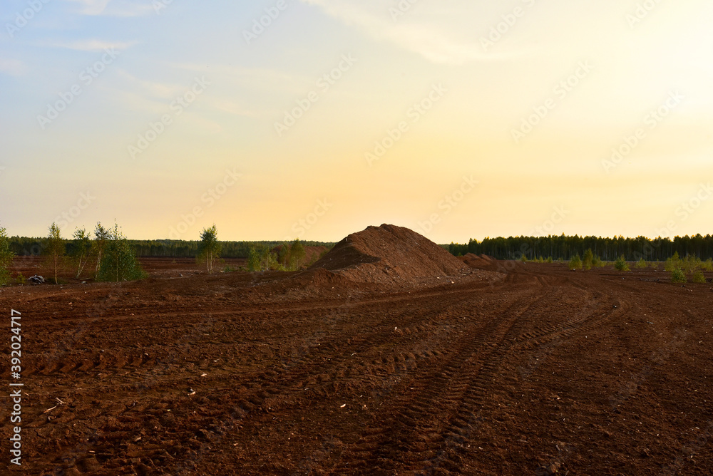 Landscape on peatlands where being development of the peat on sunset ...