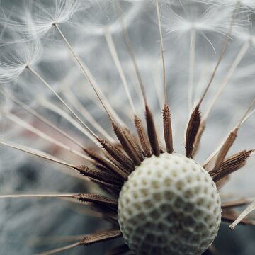 Most popular royalty-free nature images and nature photography ...