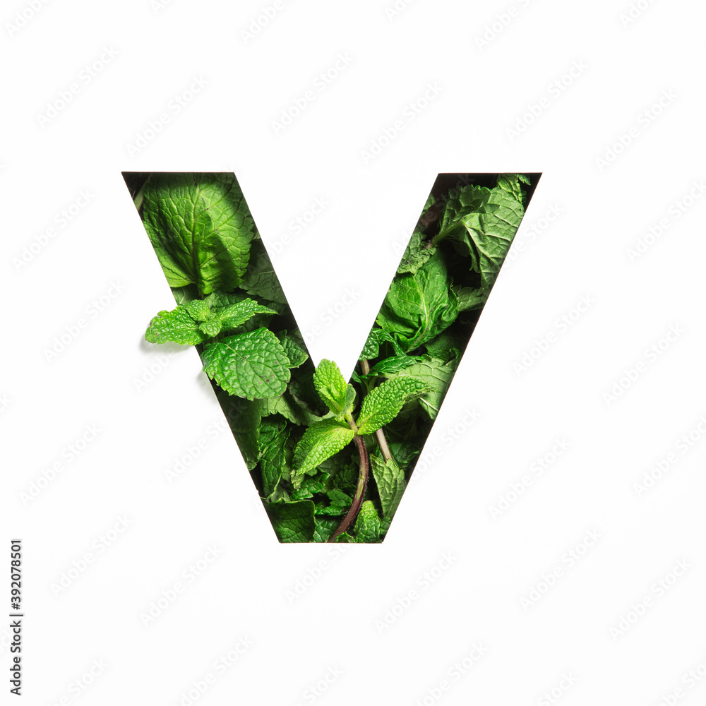 Letter V of English alphabet of green mint natural leaf and cut paper ...