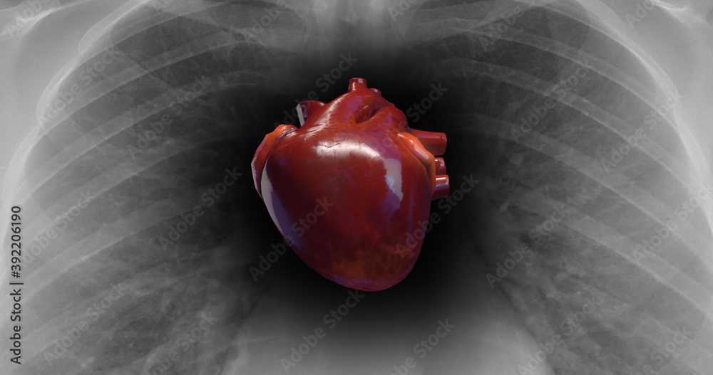 Human Heart Beat Inside Of X-Ray Skeleton. Pumping Blood. Science And ...