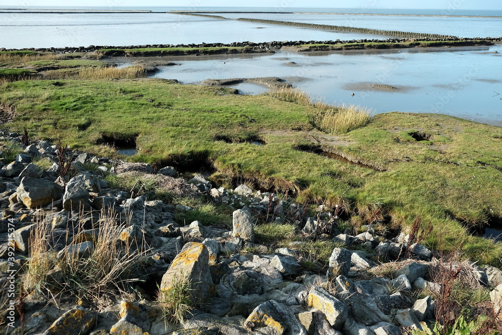 Küstenschutz am Deich mit Stein, Schlickgras und durch Lahnungsbau im ...