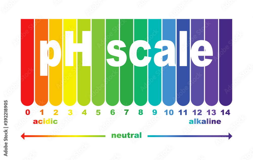 Vecteur Stock scale of ph value for acid and alkaline solutions ...
