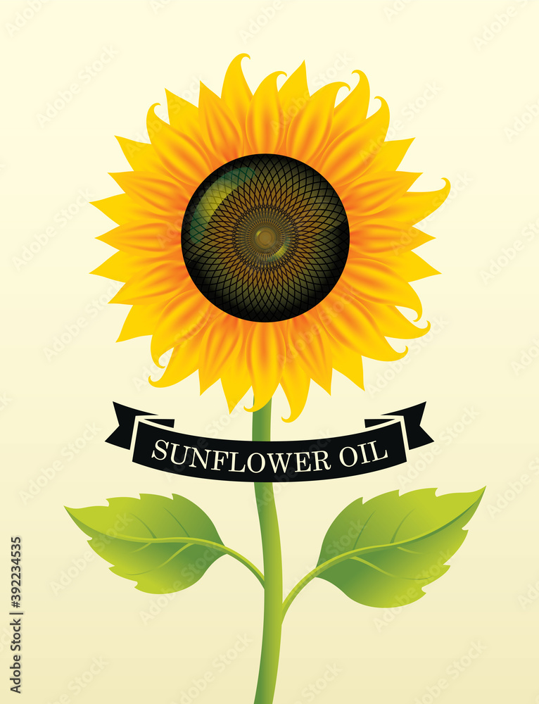 Banner or label for sunflower oil with a big blossom sunflower and ...