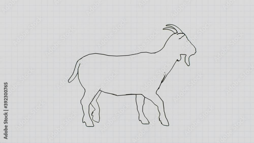 Animation of an adult goat with horns walking forward on a paper ...