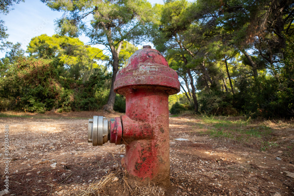 Firefighting public system fire hydrant red color outdoors in forest ...